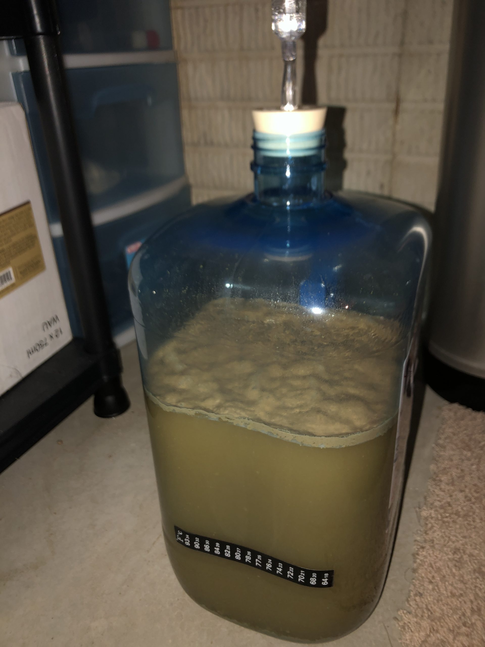 Warm Fermented Lager Results – BrewGinner